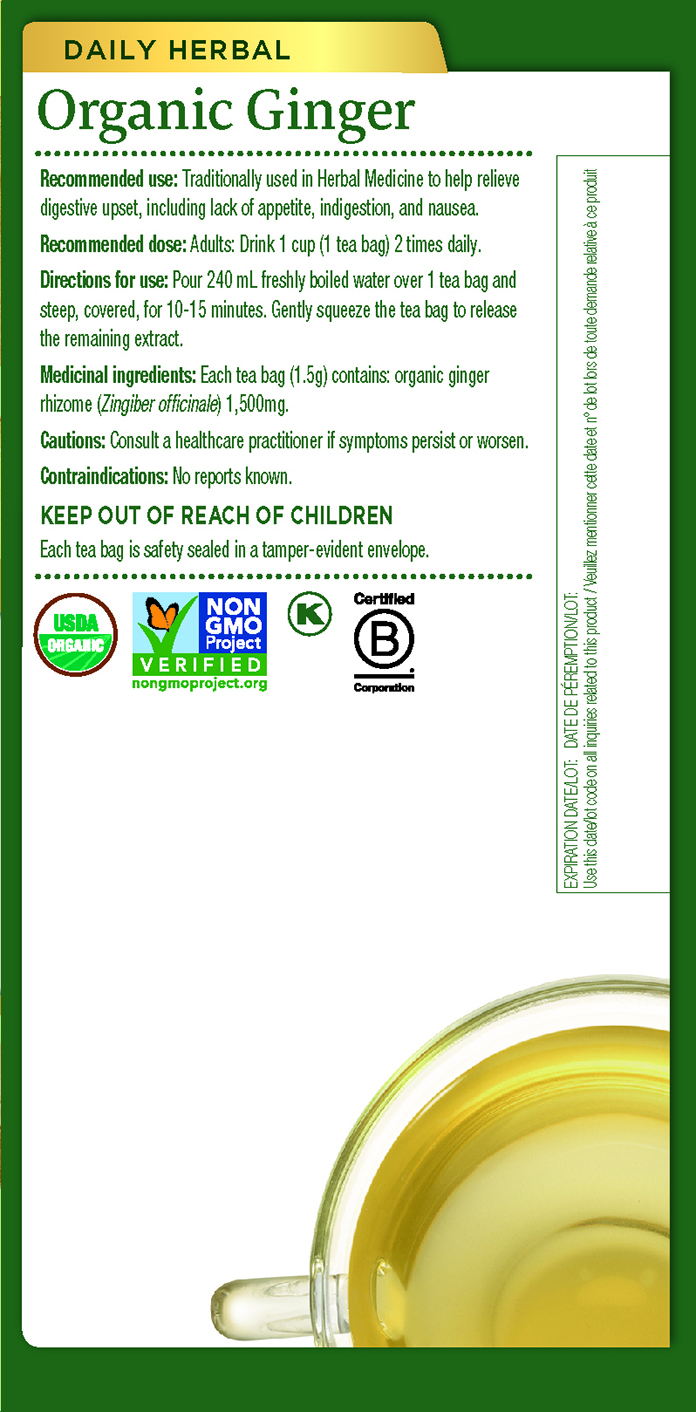 Ginger - Traditional Medicinals