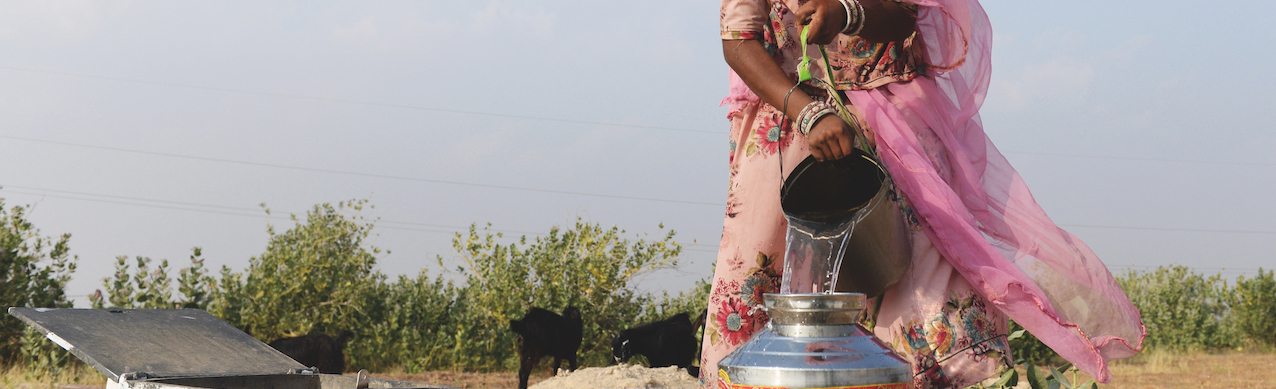 Sourcing Stories - Traditional Medicinals Canada